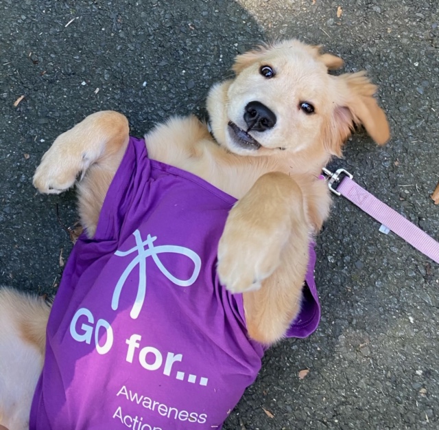 Campaign 2020 | World GO Day